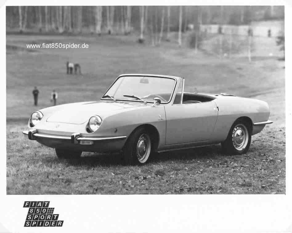 Sport Spider